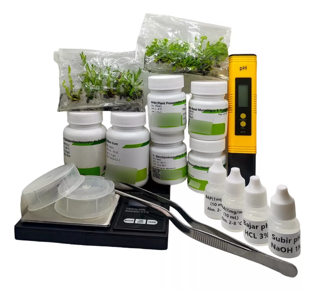 Kit Cultivo In Vitro De Plantas Rapax – rapaxbiotec.com